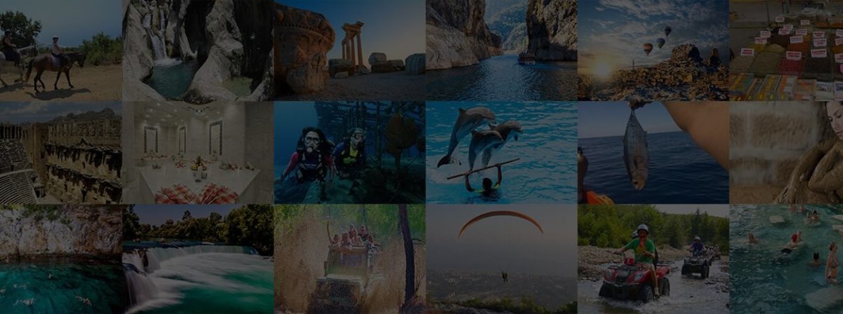 Dolphin Park Archives | ExcursionSide